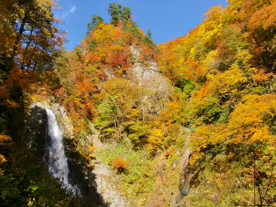 写真館│白神山地ビジターセンター│世界自然遺産 白神山地