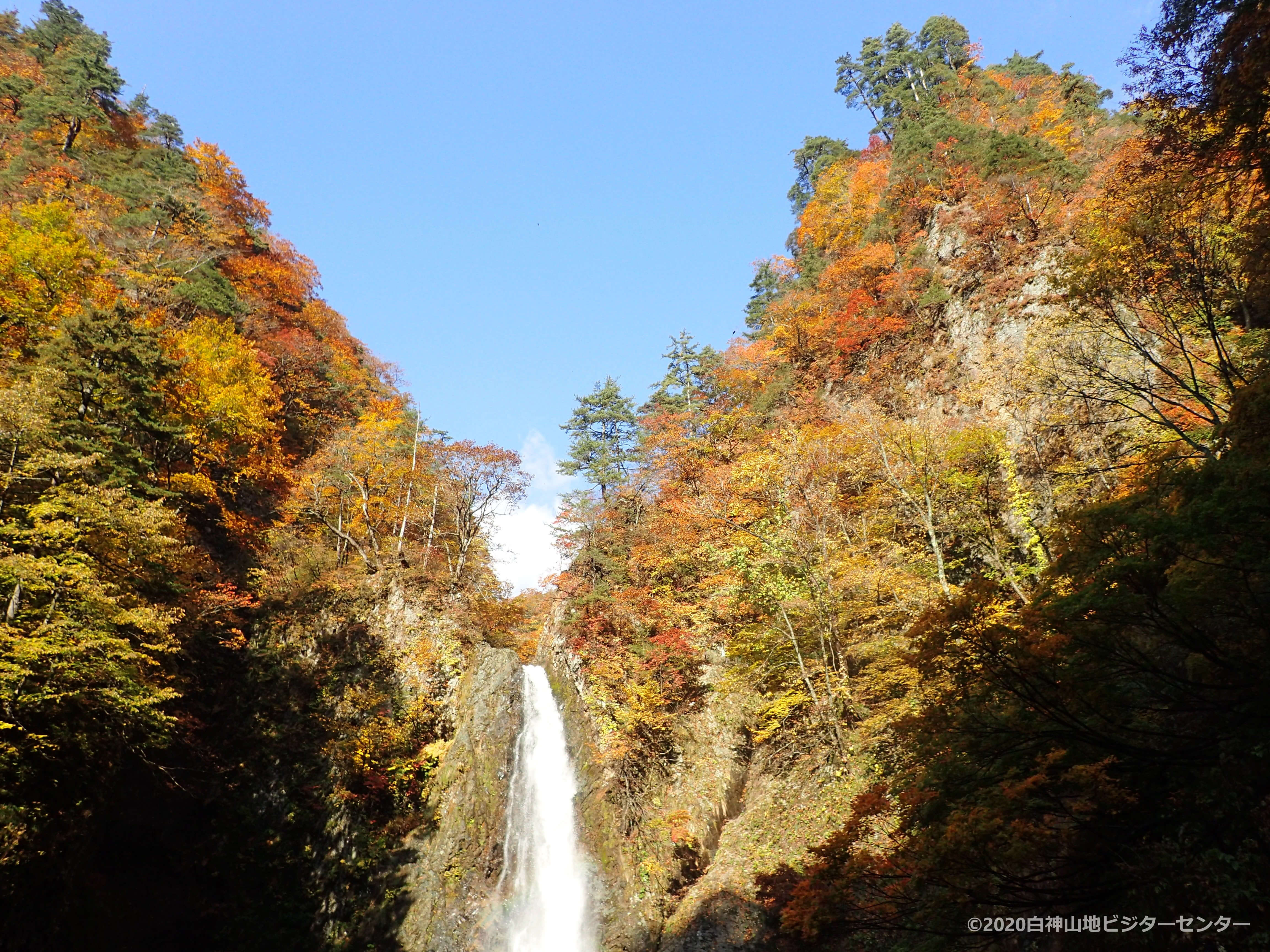 写真館│白神山地ビジターセンター│世界自然遺産 白神山地