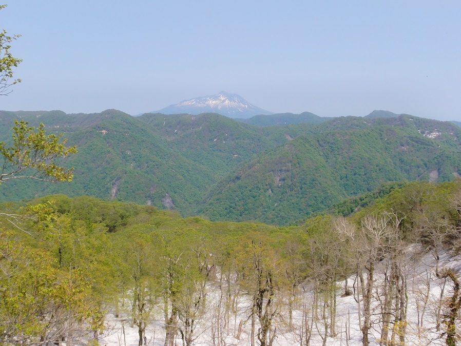写真館│白神山地ビジターセンター│世界自然遺産 白神山地