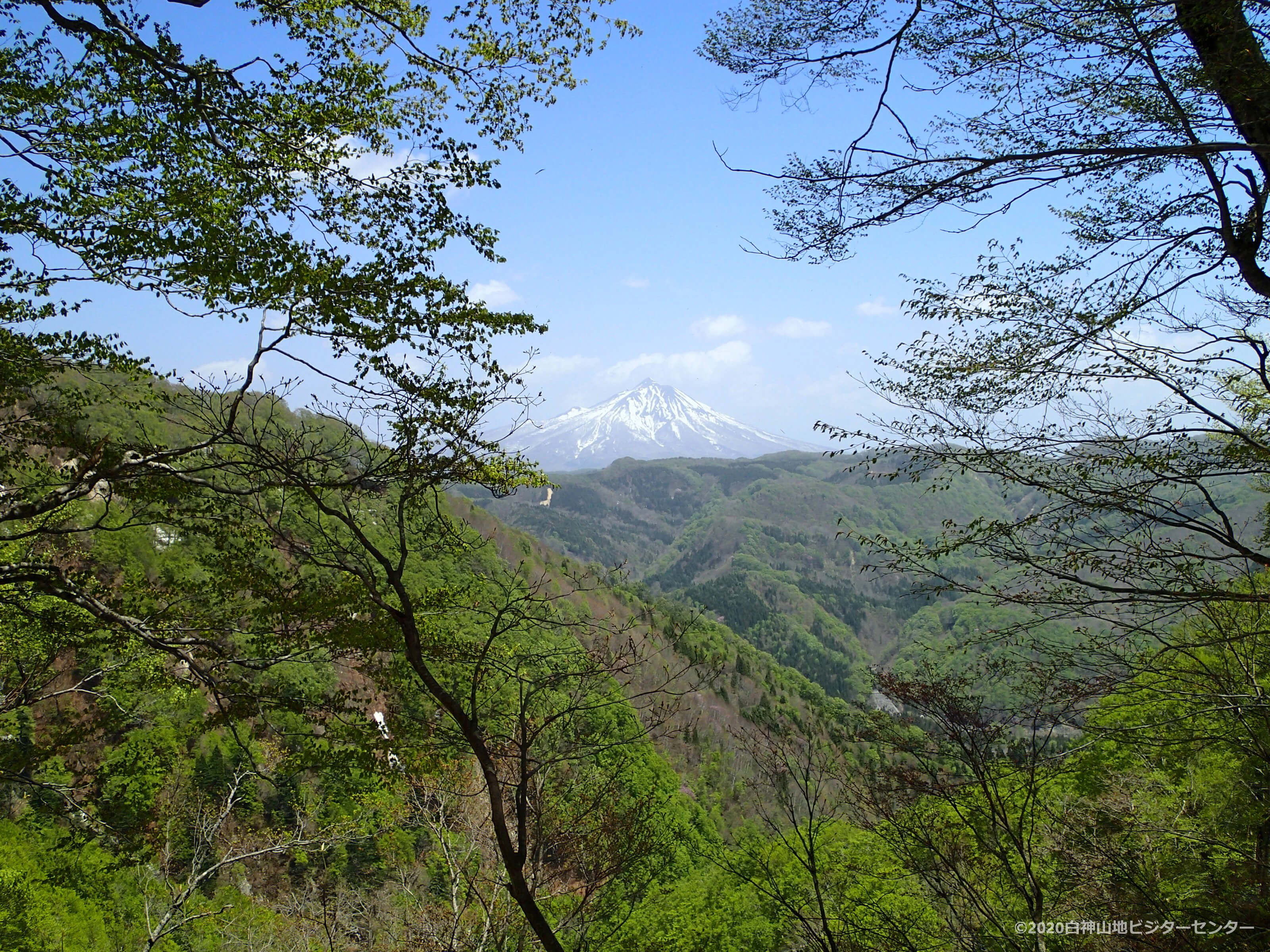 写真館│白神山地ビジターセンター│世界自然遺産 白神山地