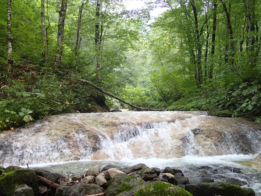 写真館│白神山地ビジターセンター│世界自然遺産 白神山地