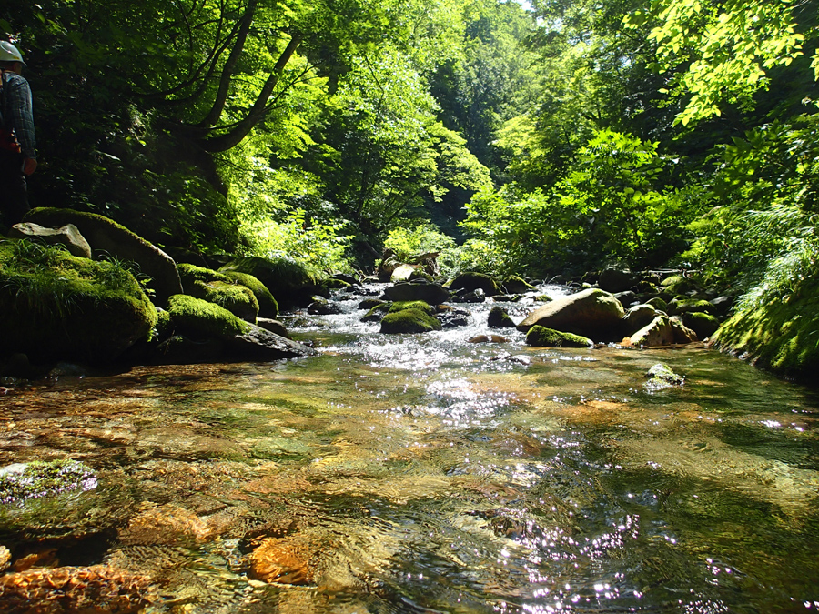 写真館│白神山地ビジターセンター│世界自然遺産 白神山地