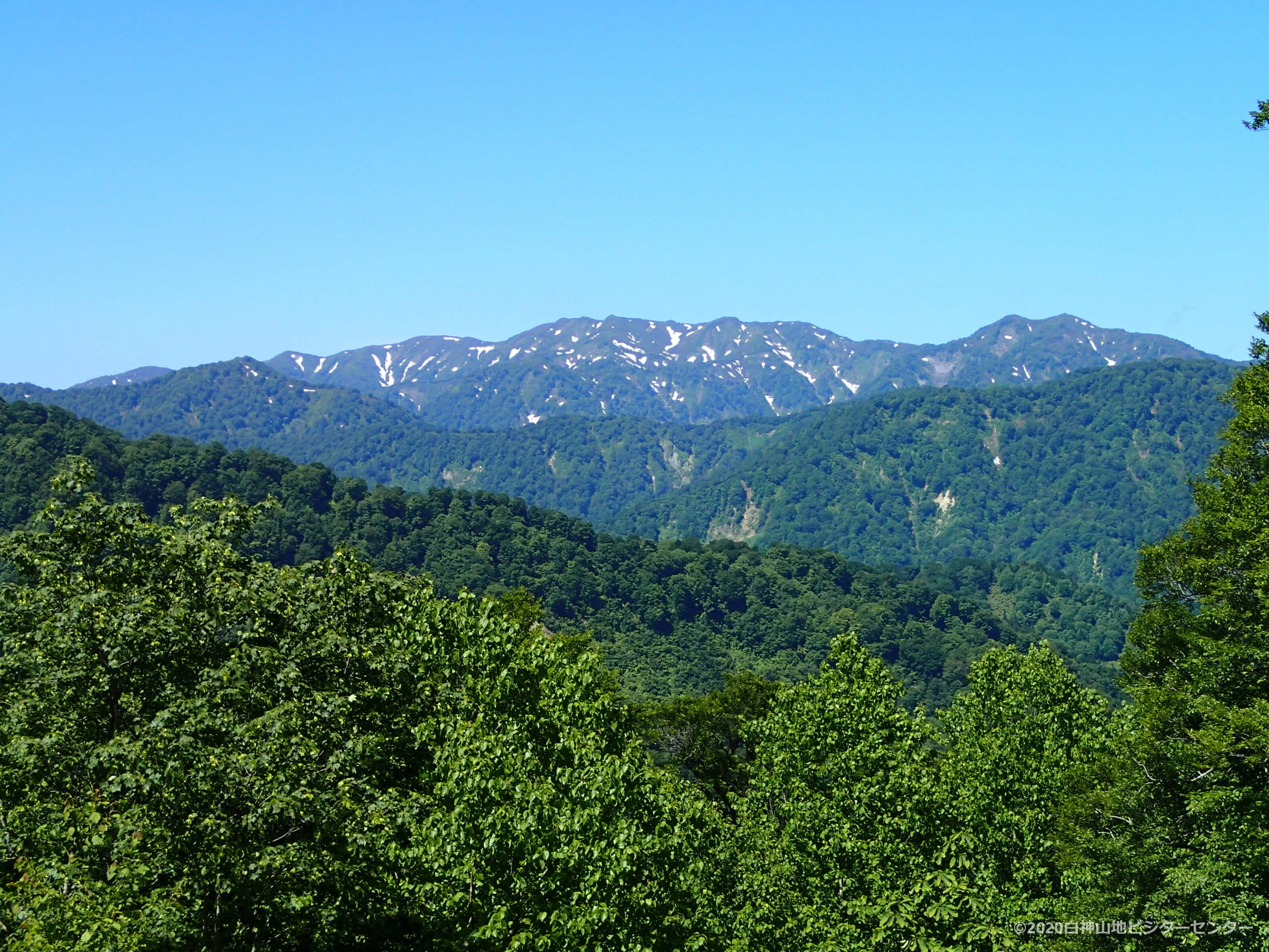 写真館│白神山地ビジターセンター│世界自然遺産 白神山地