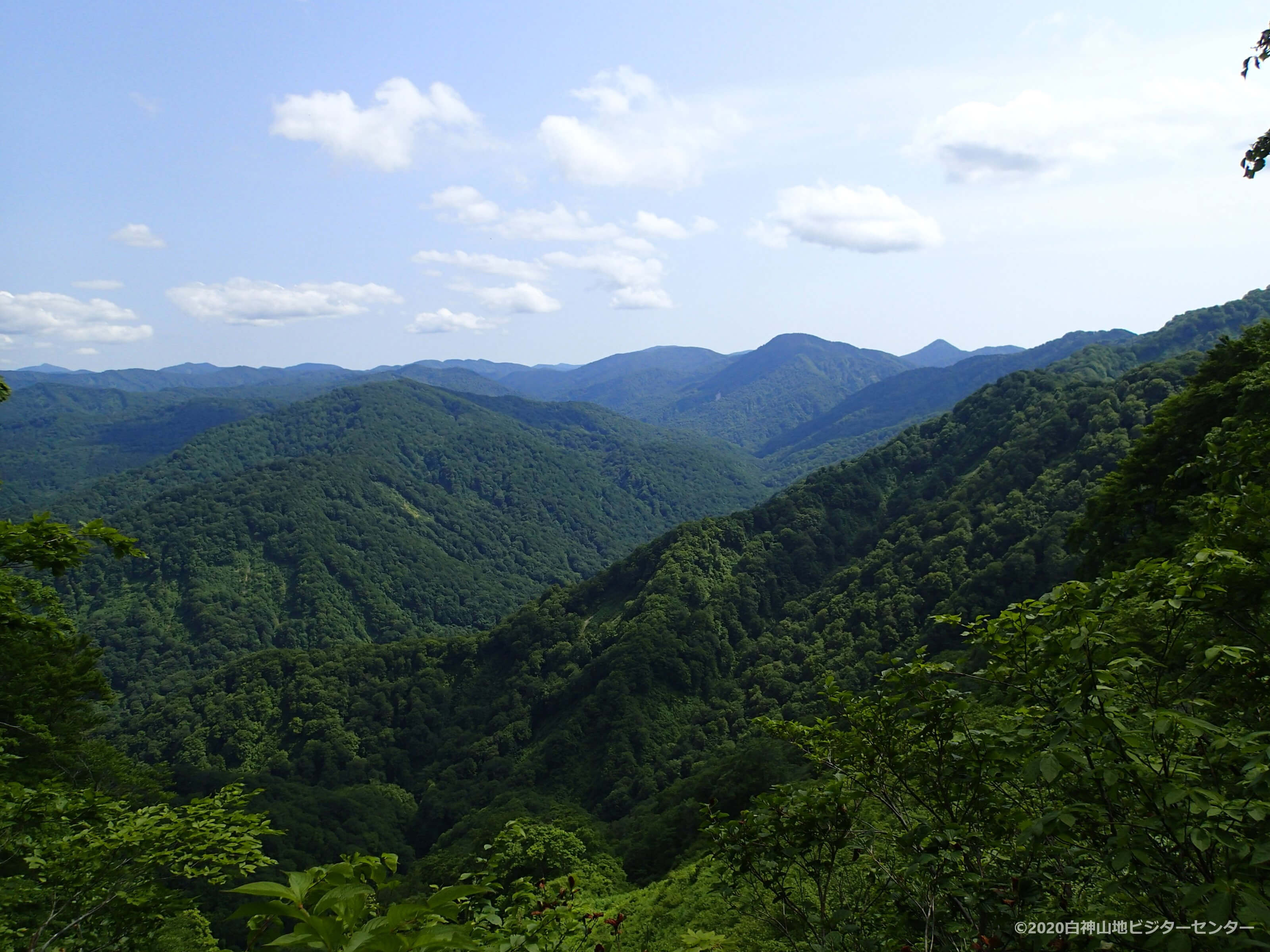 写真館│白神山地ビジターセンター│世界自然遺産 白神山地