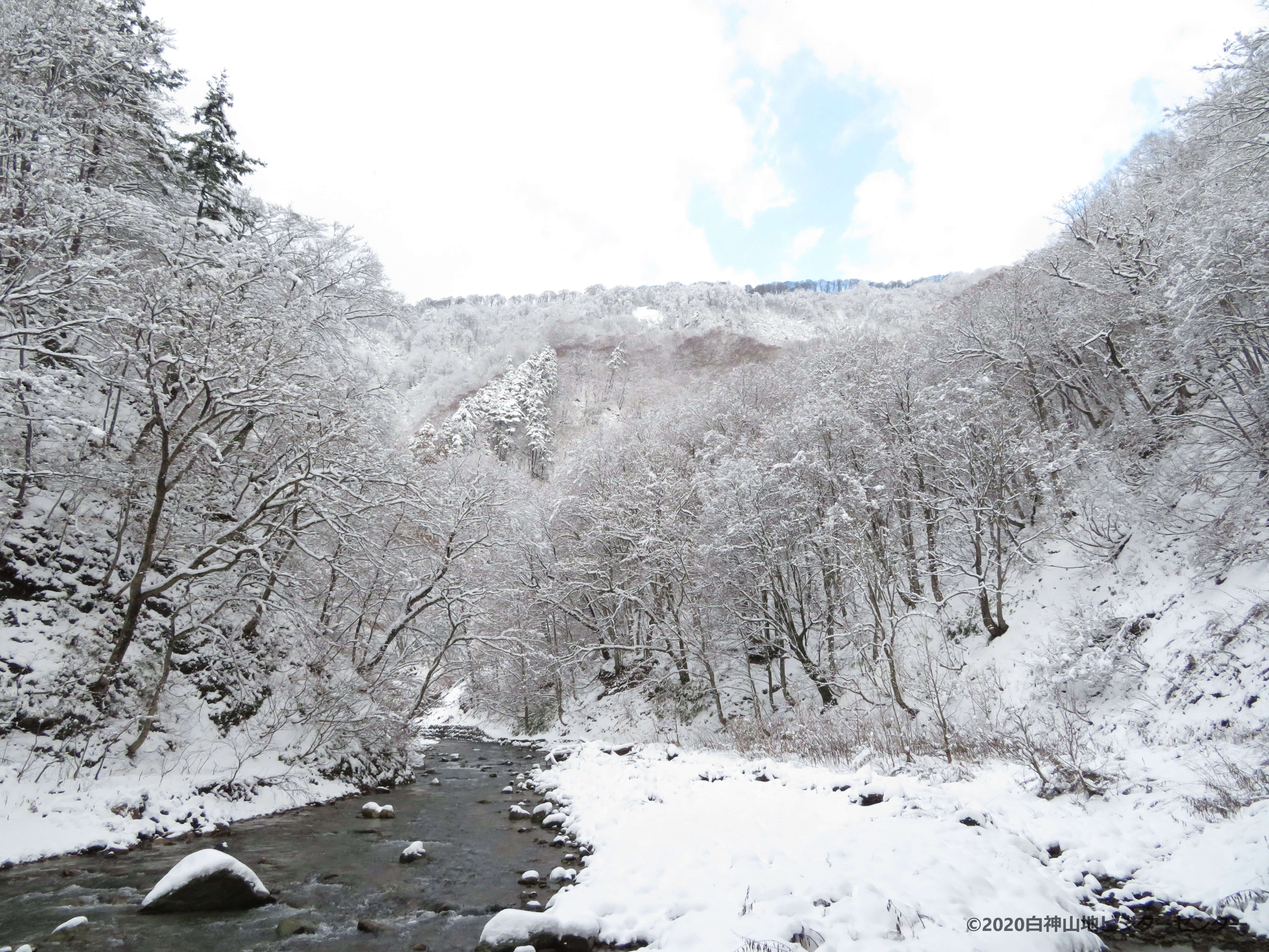 写真館│白神山地ビジターセンター│世界自然遺産 白神山地
