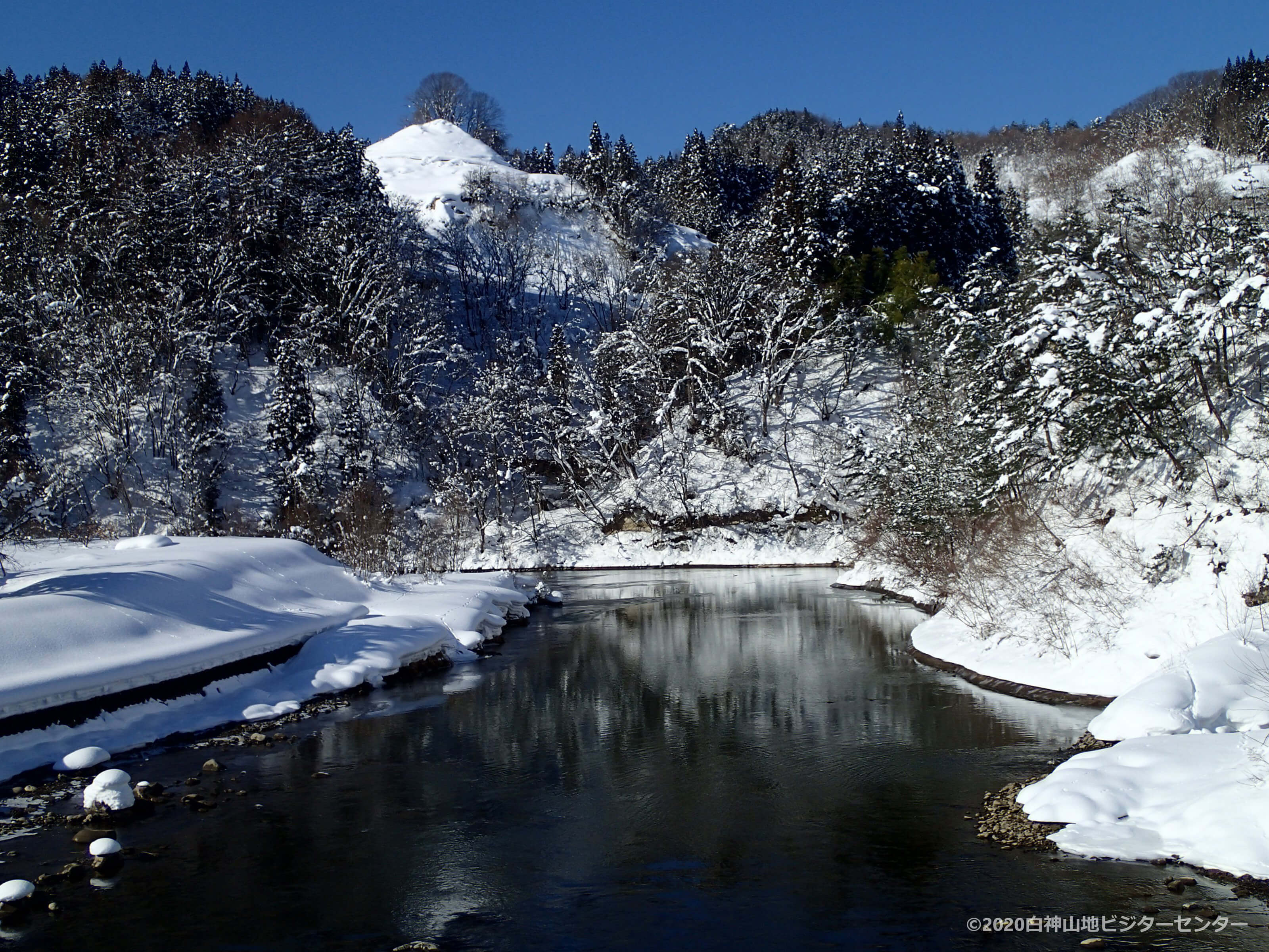 写真館│白神山地ビジターセンター│世界自然遺産 白神山地
