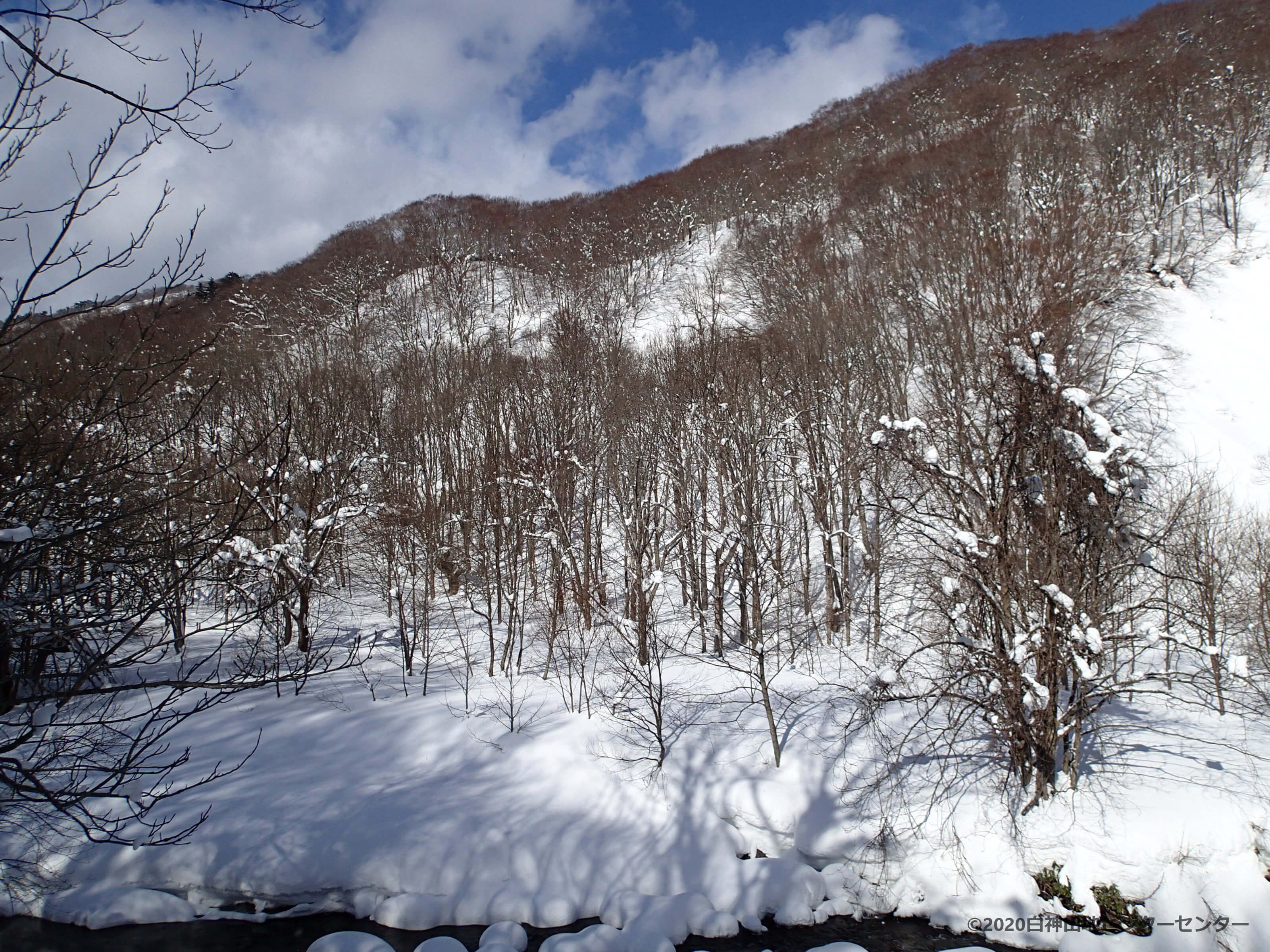 写真館│白神山地ビジターセンター│世界自然遺産 白神山地